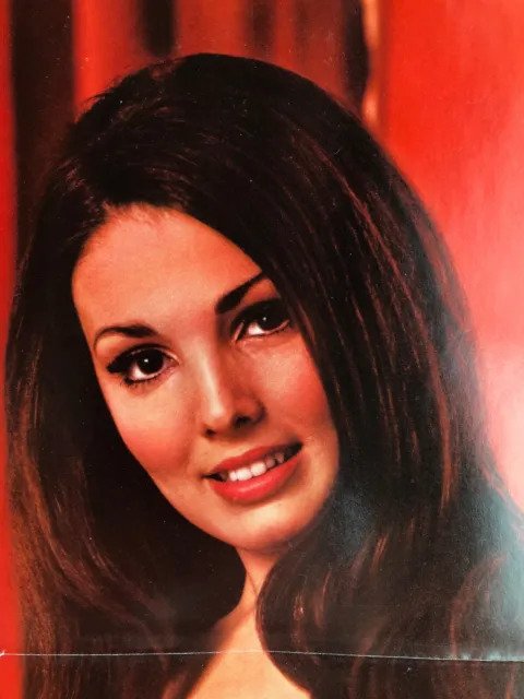 Linda Forsythe Death Fact Check, Birthday & Age | Dead or Kicking