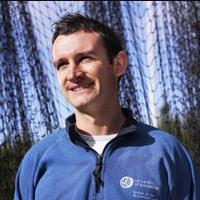 Adam Willis Death Fact Check, Birthday & Age | Dead or Kicking