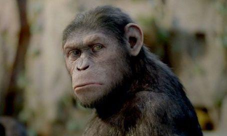 Caesar Death Fact Check, Birthday & Age | Dead or Kicking