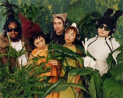Cibo Matto Death Fact Check, Birthday & Age | Dead or Kicking