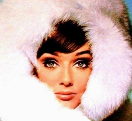 Ina Balke Death Fact Check, Birthday & Age | Dead or Kicking