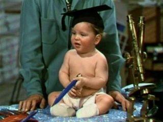 Jimmy Luske Death Fact Check, Birthday & Age | Dead or Kicking