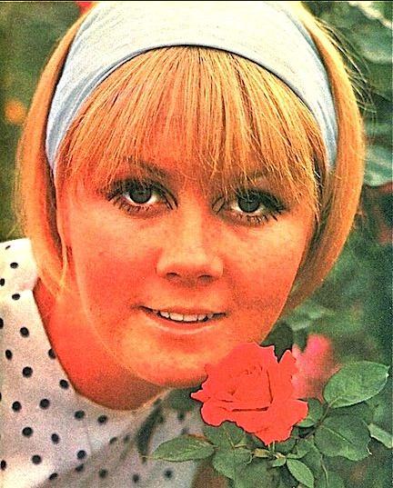 Lynne Randell Death Fact Check, Birthday & Date of Death