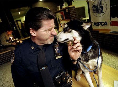 Mark MacDonald Death Fact Check, Birthday & Age | Dead or Kicking