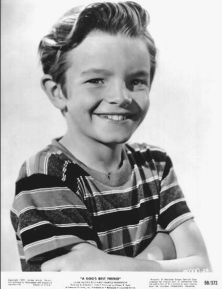 Roger Mobley Death Fact Check, Birthday & Age | Dead or Kicking