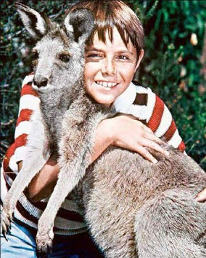 Skippy Death Fact Check, Birthday & Age | Dead or Kicking