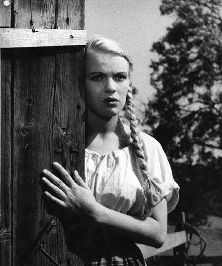 Tuija Halonen Death Fact Check, Birthday & Date of Death